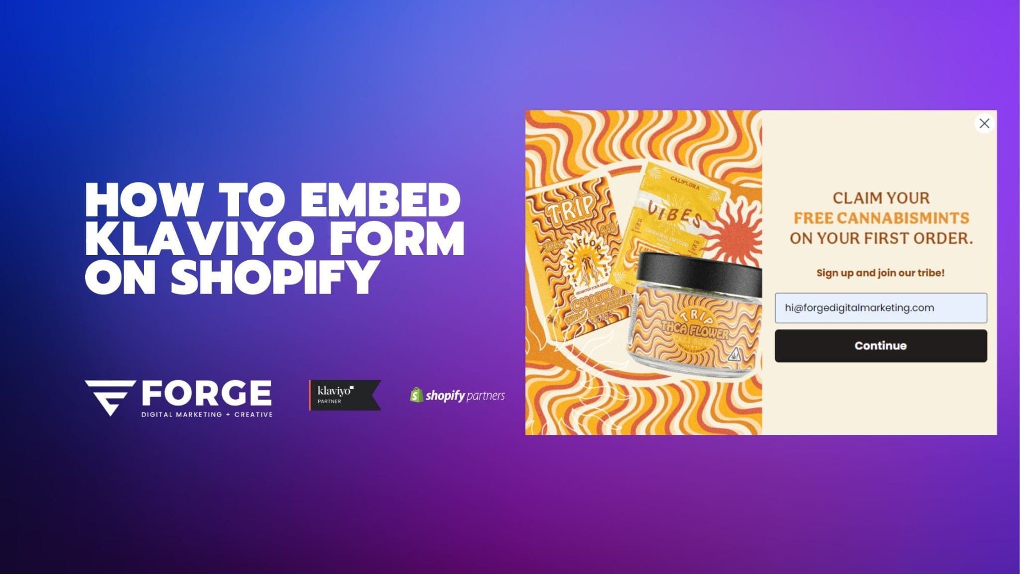 Ecommerce Marketing: Expert Insights & Guides | FORGE